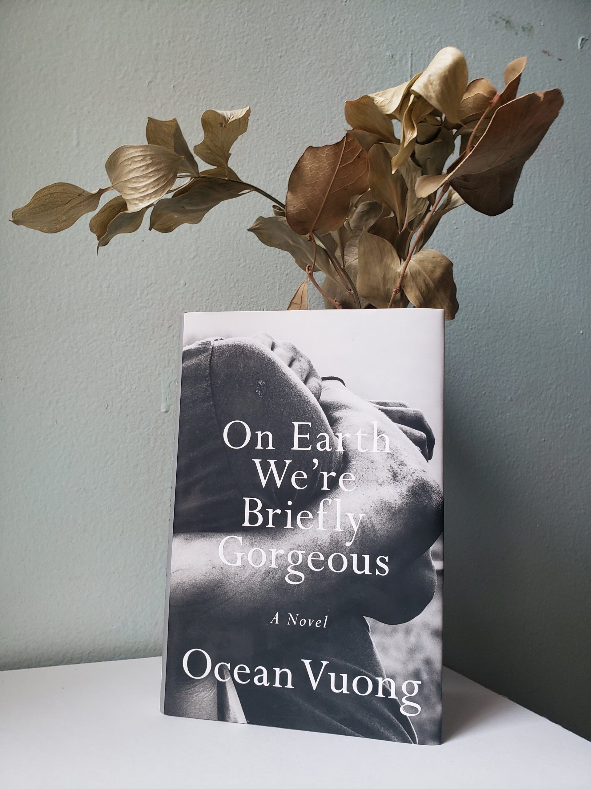 On Earth We’re Briefly Gorgeous: An Invitation to Awaken Emotion ...