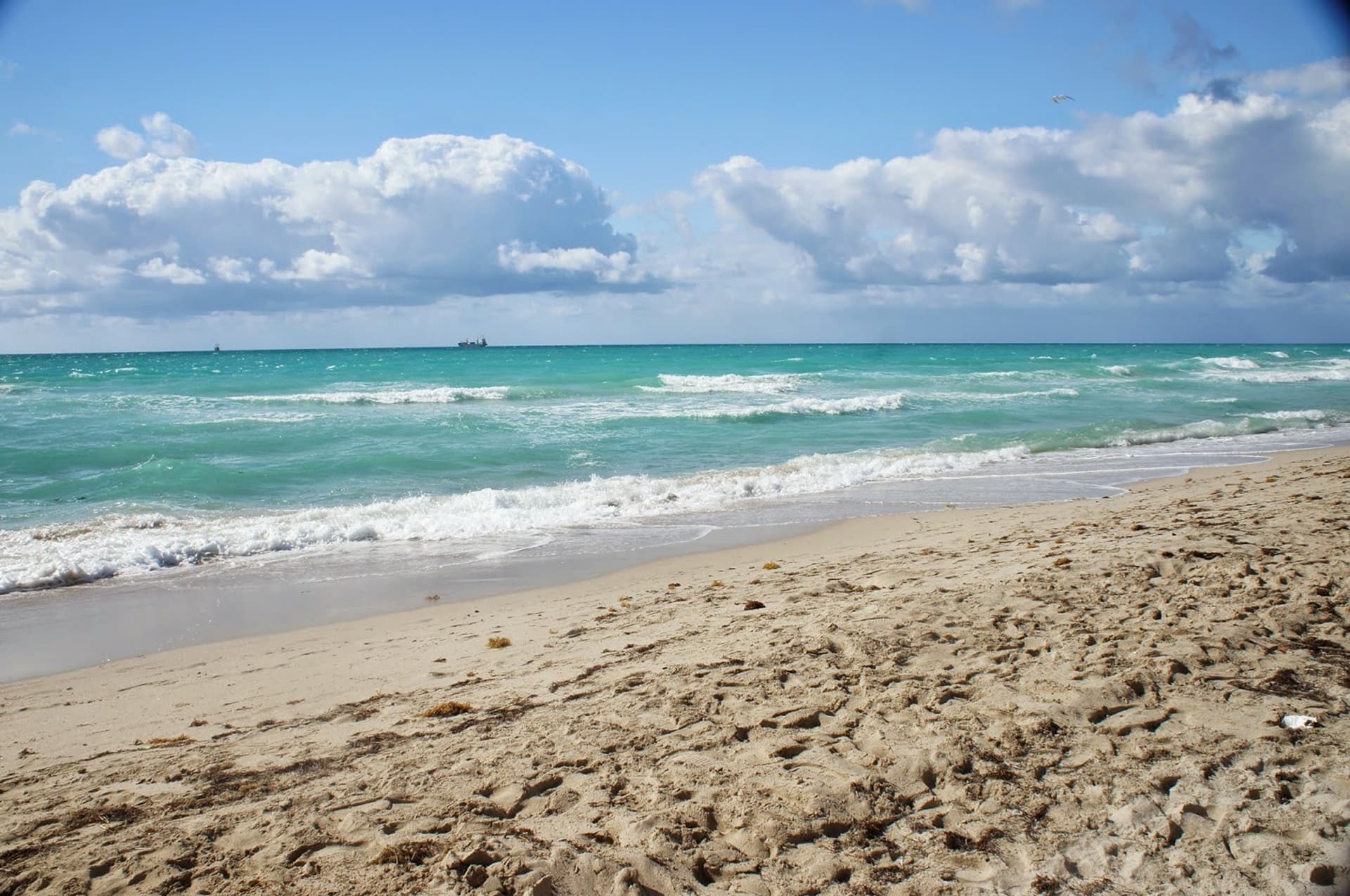 Human-induced climate change turns more than half the ocean green - The ...